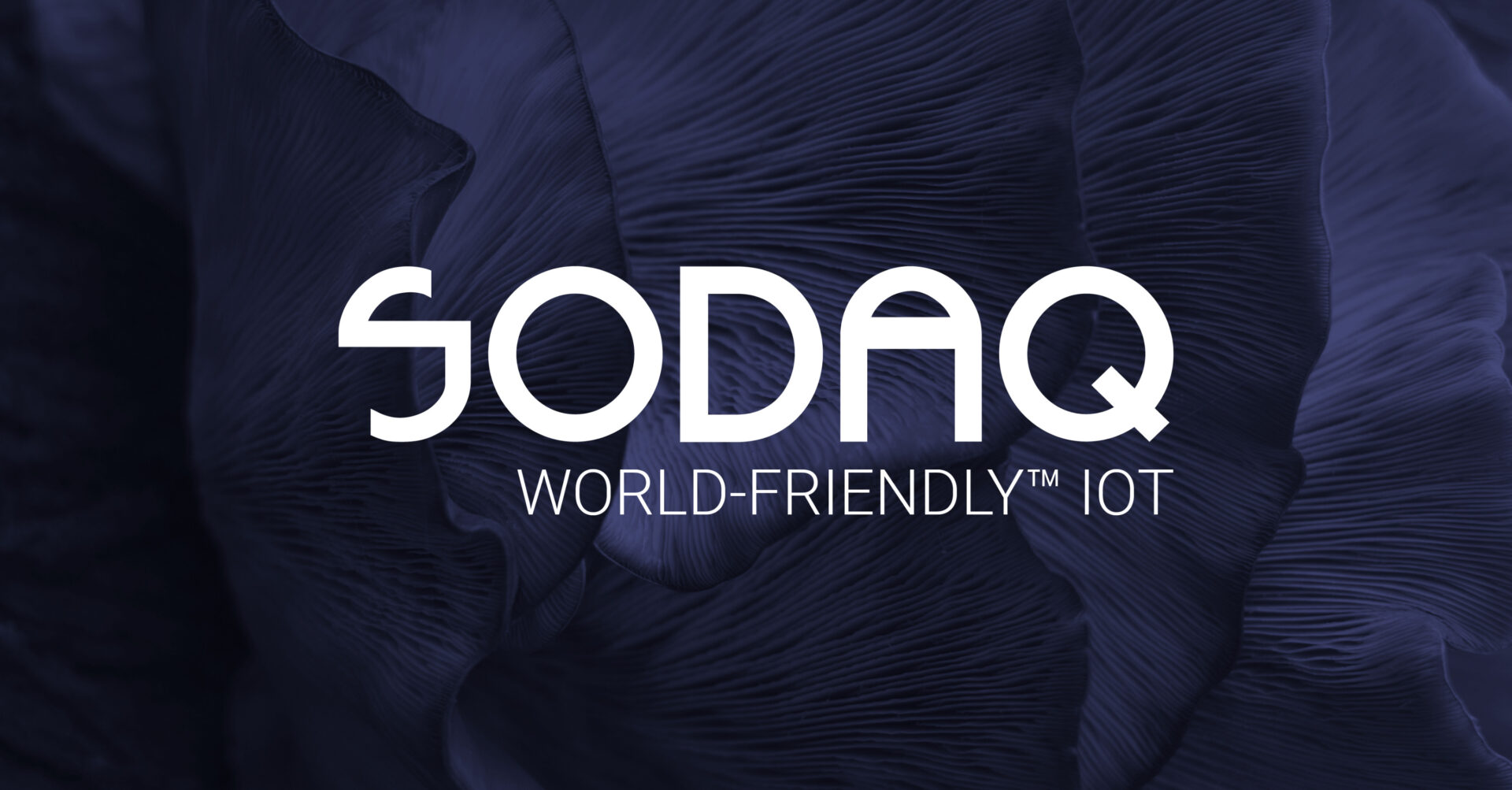 SODAQ Announces Sustainability Aspirations with World-friendly IoT - SODAQ
